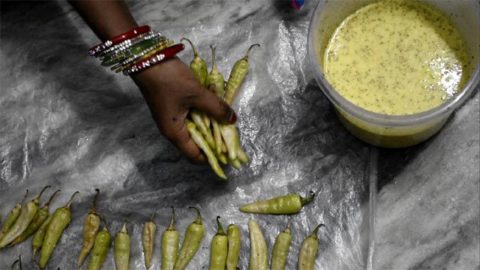 Best Sun Dried Curd Chillies Recipe | Majjiga Mirapakayalu